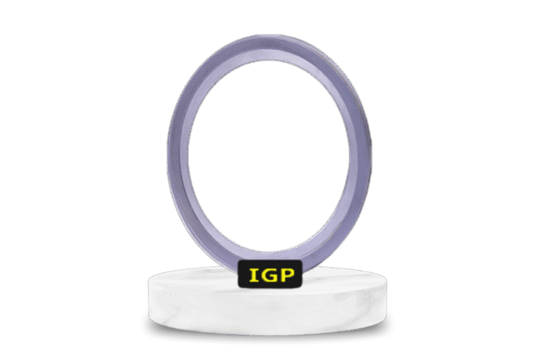 Types of Spiral Wound Gaskets | Complete Guide by IGP Group